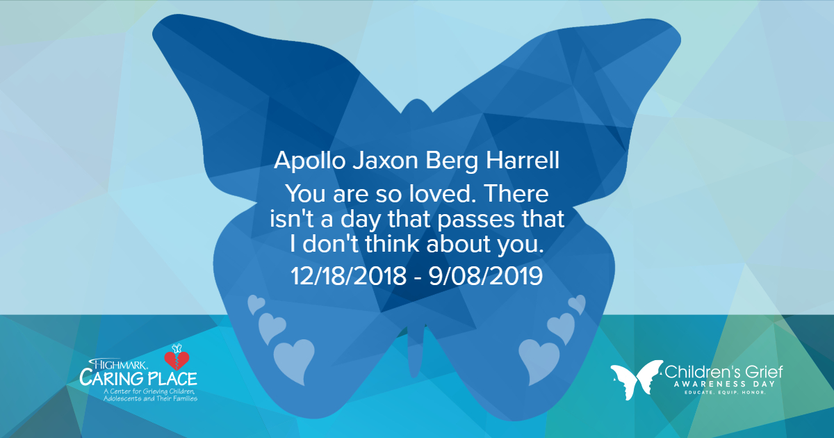 Butterfly dedicated to Apollo Jaxon Berg Harrell - Illuminating HOPE