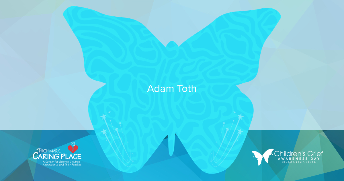 Butterfly dedicated to Adam Toth - Illuminating HOPE