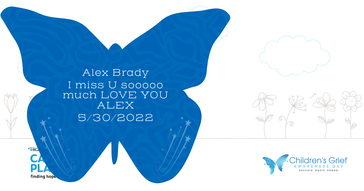 Butterfly dedicated to Alex Brady - Illuminating HOPE