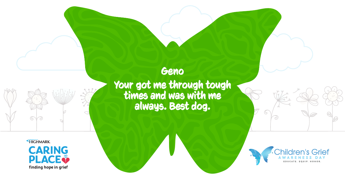 Butterfly dedicated to Geno - Illuminating HOPE