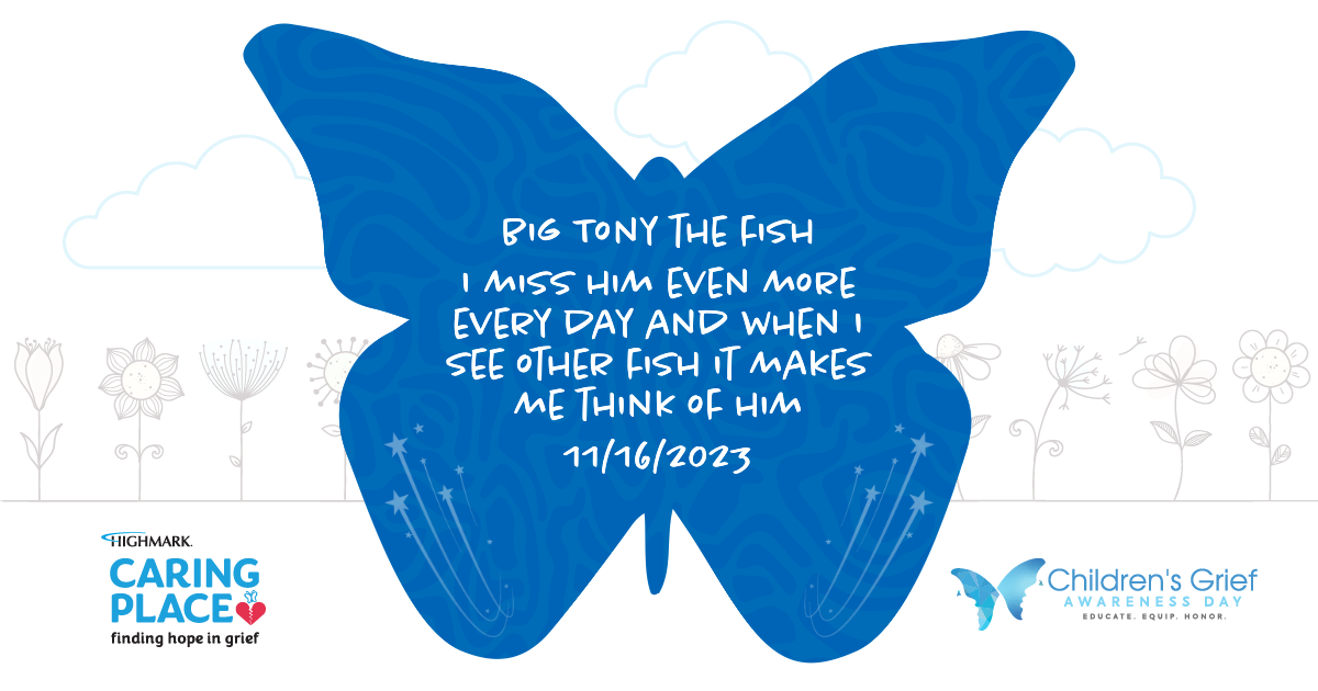Butterfly dedicated to big Tony the fish - Illuminating HOPE