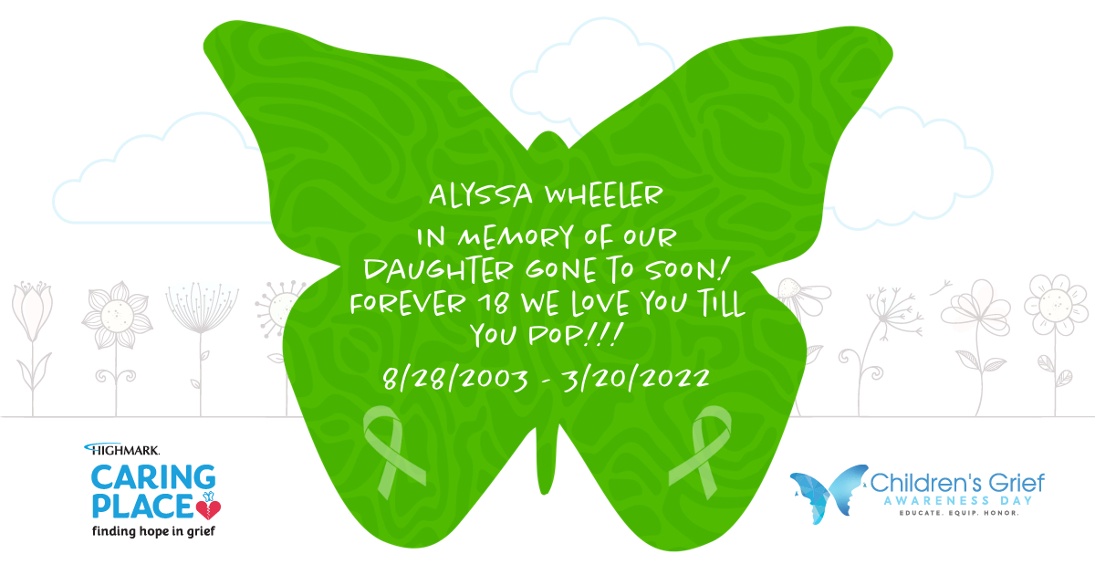 Butterfly dedicated to Alyssa Wheeler - Illuminating HOPE