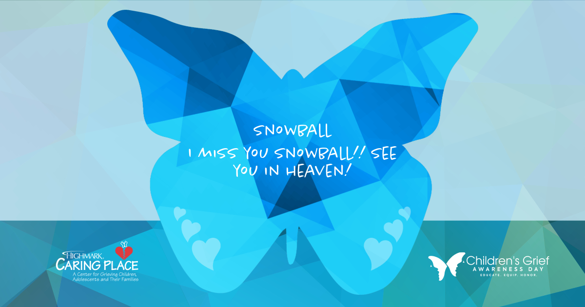 Butterfly dedicated to Snowball - Illuminating HOPE