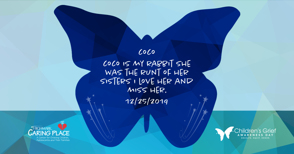 Butterfly dedicated to coco - Illuminating HOPE